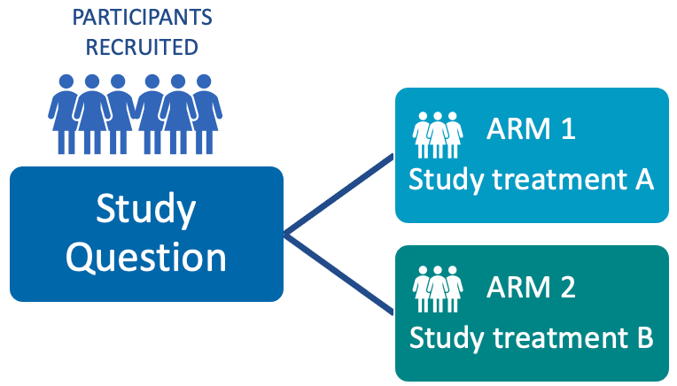 Arm - Clinical Research Glossary